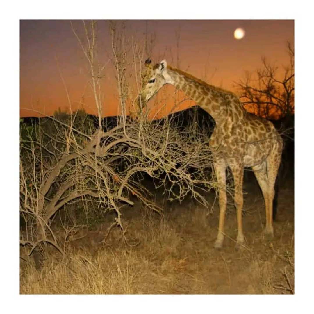 Tour Packages - POSSIBLE KANGWANE TRAVEL AND TOURS